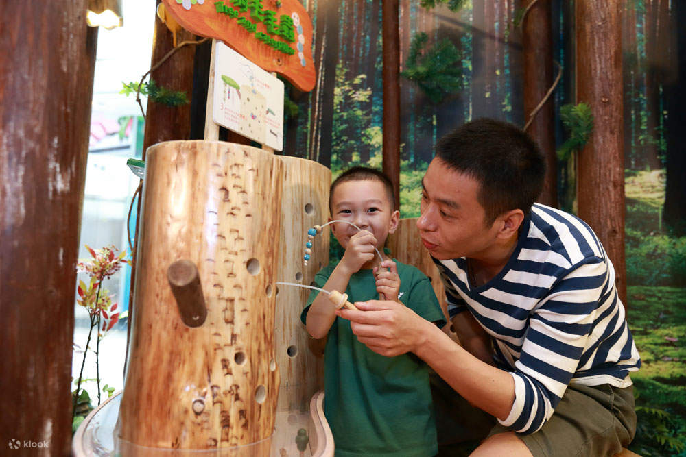 Wood Forest | Shenzhen Sea World Store - Klook